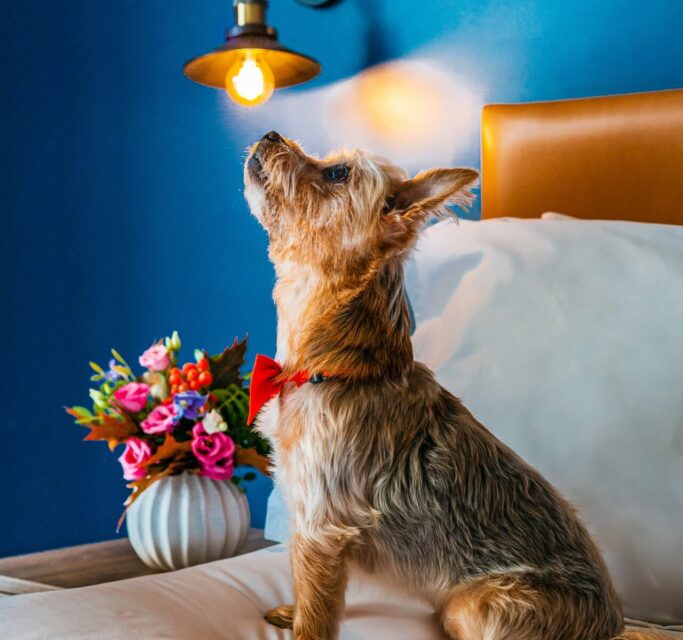 Ropewalks Hotel | Hotels In Liverpool | Official Website