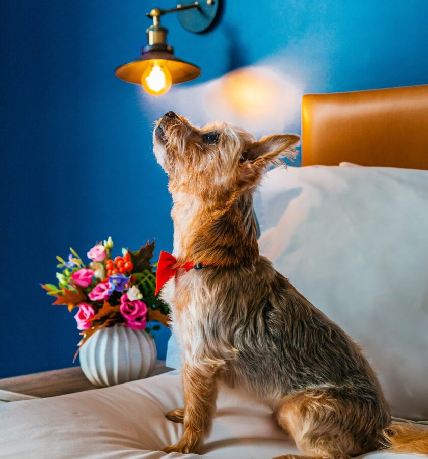 Ropewalks Hotel | Hotels In Liverpool | Official Website